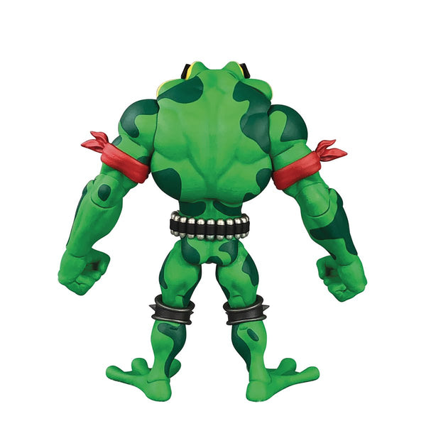 Premium Dna Toys Battletoads Rash Action Figure – Toyz in the Box